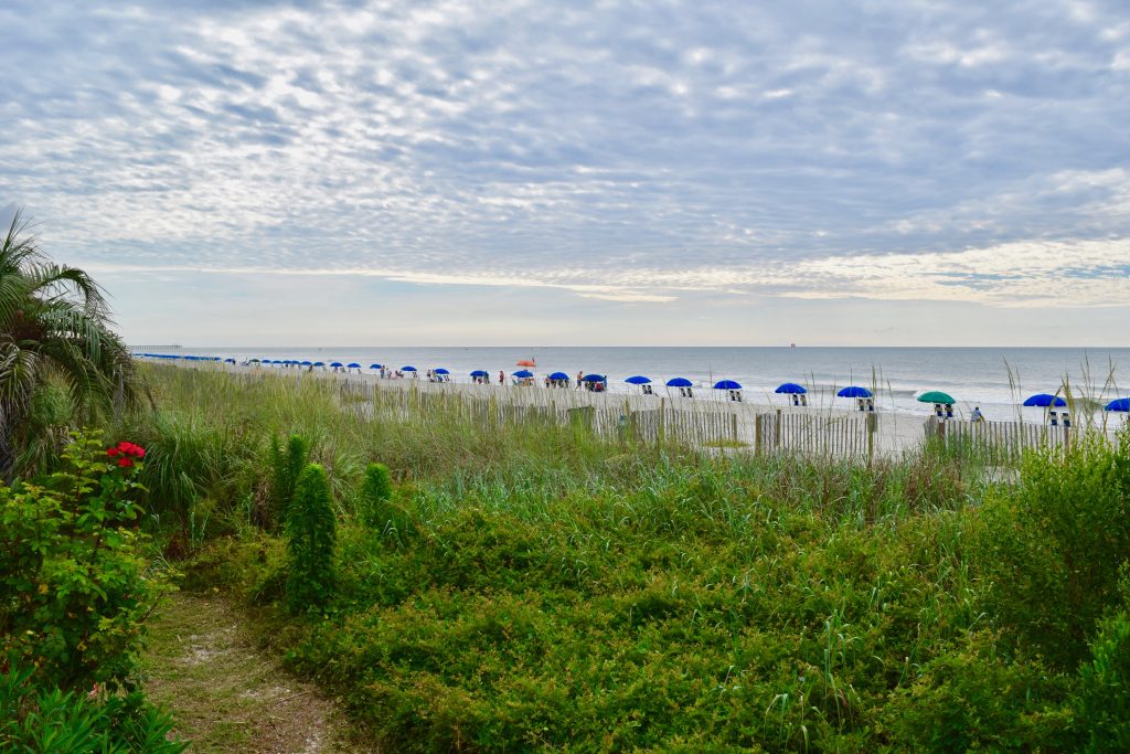 Accommodations – Ocean Forest Colony