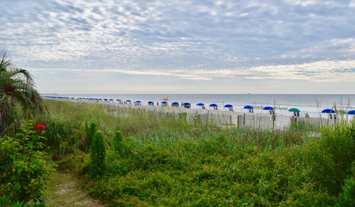 2-Bedroom – Ocean Forest Colony